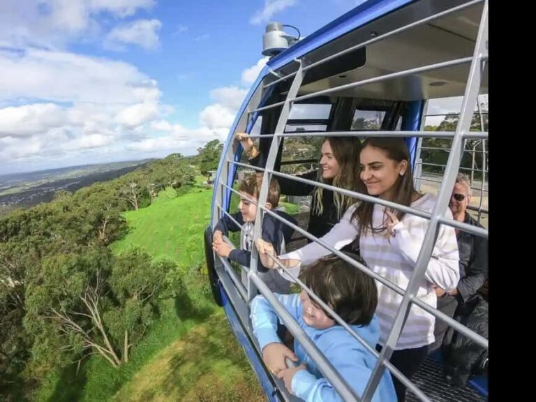 Arthurs Seat Eagle: Scenic Gondola Ride - What’s at the Top?
