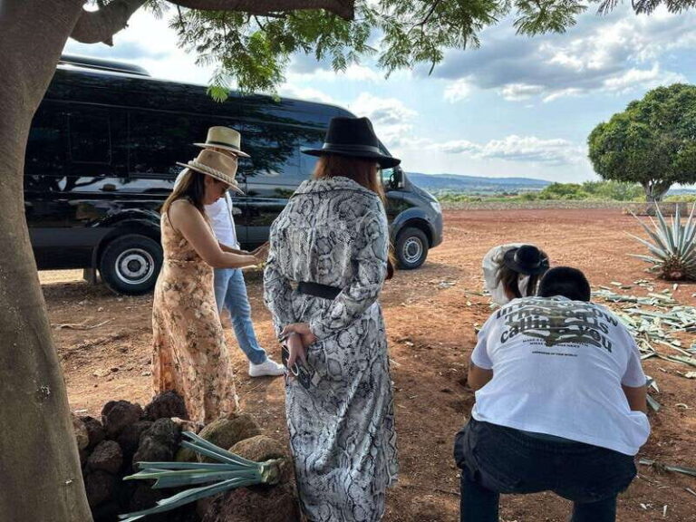 Artisanal Tequila Experience in Private Luxury SUV Local - Why This Tour Is a Great Choice