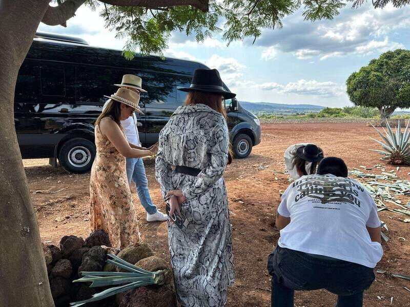 Artisanal Tequila Experience in Private Luxury SUV Local - Why This Tour Is a Great Choice