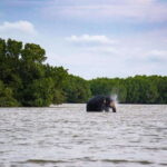 Arugambay :Pottuvil Lagoon Mangrove Eco Boat Safari Tours - The Logistics: How the Tour Runs