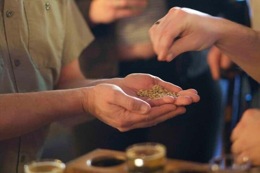 Asheville: 3 Brewery Walking Tour with Tastings - Authenticity and Value