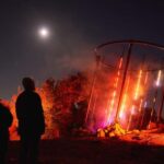 Astra Lumina Entry at Currumbin Wildlife Sanctuary - Discovering Astra Lumina at Currumbin Wildlife Sanctuary