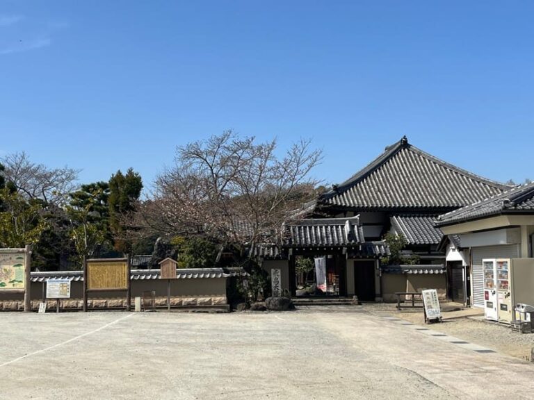 Asuka: Private Guided tour of an ancient capital of Japan - Who Will Love This Tour?