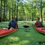 Atchafalaya Basin: 2.5 Hr. Guided Kayak Tour - The Experience in Detail: Why It Matters