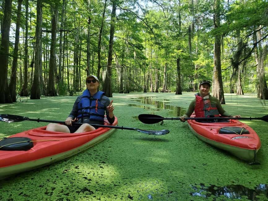 Atchafalaya Basin: 2.5 Hr. Guided Kayak Tour - The Experience in Detail: Why It Matters