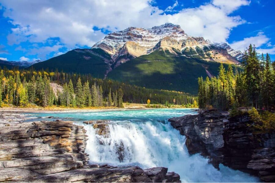 Athabasca Falls/Abraham,Sunwapta Falls, Icefield, Peyto Lake - Winter Wonders: The Ice Bubbles at Abraham Lake