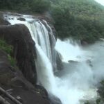 Athirappally & Vazhachal Waterfall Tour with Lunch - Authentic Experiences & Traveler Feedback