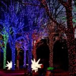 Atlanta: Christmas Private Walking Tour - A Close Look at the Itinerary and Experience