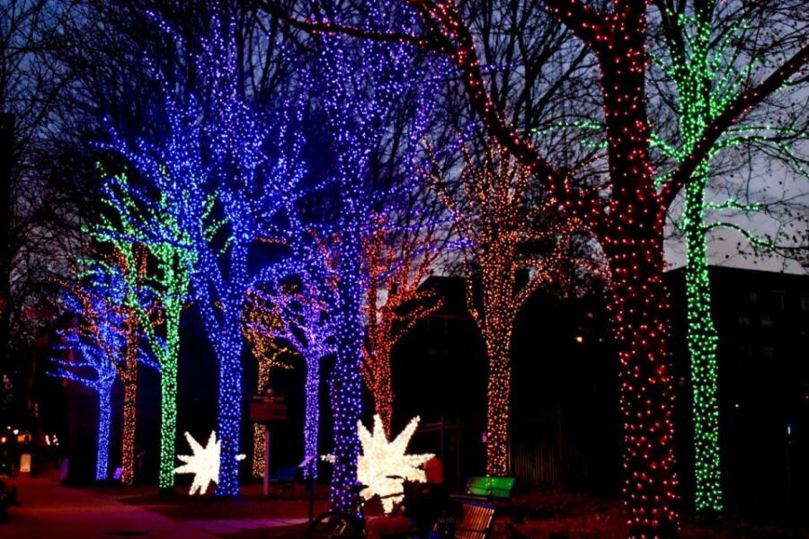 Atlanta: Christmas Private Walking Tour - A Close Look at the Itinerary and Experience
