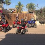 ATV Adventure in Loreto with Guide - Who Should Consider This Tour?