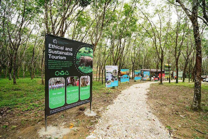 ATV Adventure: Khao Laks Best Off-Road Experience - Considerations and Practicalities