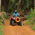 ATV All-Terrain Adventure in Punta Mita - Who Should Consider This Tour?