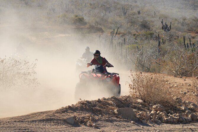 ATV and Camel Experience Los Cabos - The Experience in Practice: What Travelers Say