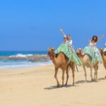 ATV & Camel Ride Tour on Migriño Beach - Final Thoughts: Who Would Love This Tour?