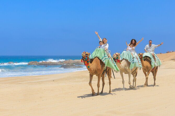 ATV & Camel Ride Tour on Migriño Beach - Final Thoughts: Who Would Love This Tour?