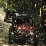 Atv drive and cenote tour!! - What Travelers Can Expect