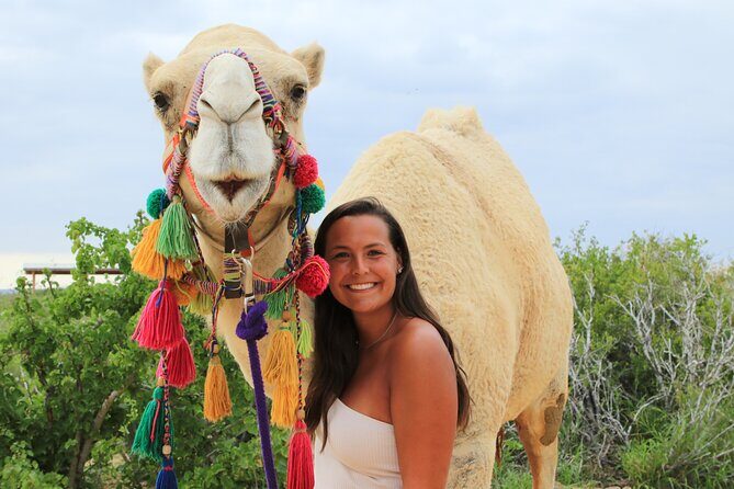 ATV Tour, Camel Ride, Tequila Tasting and Mexican Buffet Lunch - About the Experience