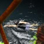 Atv Tour In Cancun (swim Cenote, Tarzan Jump And 5 Ziplines Included) - Practical Details: What to Expect and Tips for Your Day