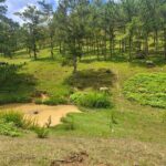 ATV Tour In The Dalat Mountains - What Makes This ATV Tour Stand Out?