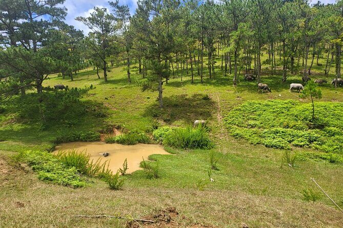 ATV Tour In The Dalat Mountains - What Makes This ATV Tour Stand Out?