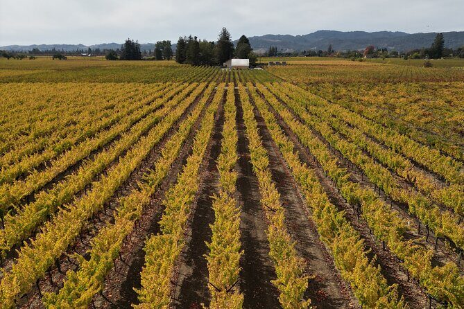 ATV Vineyard Tour and Wine Tasting - The Value and Why It Works