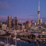 Auckland Airport Private Transfer - Who Should Book This?