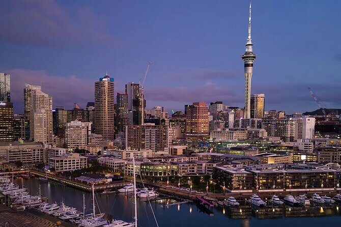 Auckland Airport Private Transfer - Who Should Book This?