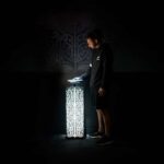 Auckland: All Blacks Experience Guided Cultural Tour - The Experience for Different Travelers