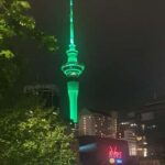 Auckland: Auckland City Tour 4 hours private - An In-Depth Look at Aucklands Top Sights