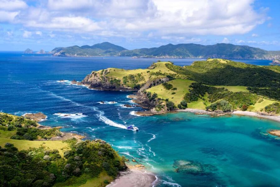 Auckland: Bay of Islands Day Tour with Dolphin Cruise - The Itinerary and What Youll Experience