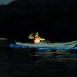 Auckland: Bioluminescence Kayak Tour - From Booking to the Experience: What Youll Need to Know