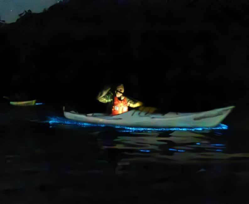 Auckland: Bioluminescence Kayak Tour - From Booking to the Experience: What Youll Need to Know