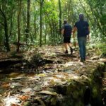 Auckland Bush, Beach and Bites Trail - The Coastal Trail and Lava Flow Trek