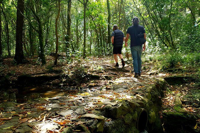 Auckland Bush, Beach and Bites Trail - The Coastal Trail and Lava Flow Trek