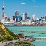 Auckland City and Native Kiwi Encounter Small Group Tour - Transport, Timing, and Experience