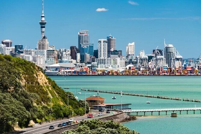 Auckland City and Native Kiwi Encounter Small Group Tour - Transport, Timing, and Experience