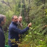 Auckland City, Beaches & Rainforest Premium Small Group Tour - Exploring Auckland’s Natural Side