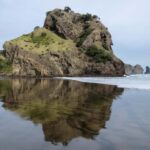 Auckland City Full Tour -PRIVATE TOUR - A Full Day of Exploring Auckland’s best highlights