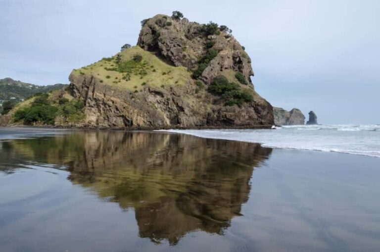 Auckland City Full Tour -PRIVATE TOUR - A Full Day of Exploring Auckland’s best highlights