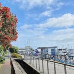 Auckland City Halfday Private Tour - What’s Included and What to Consider