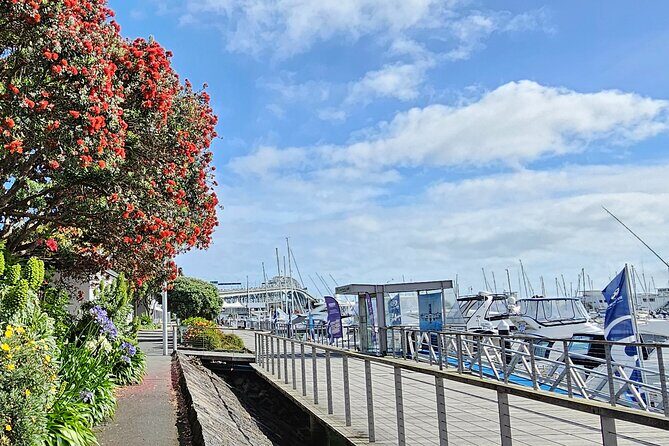 Auckland City Halfday Private Tour - What’s Included and What to Consider