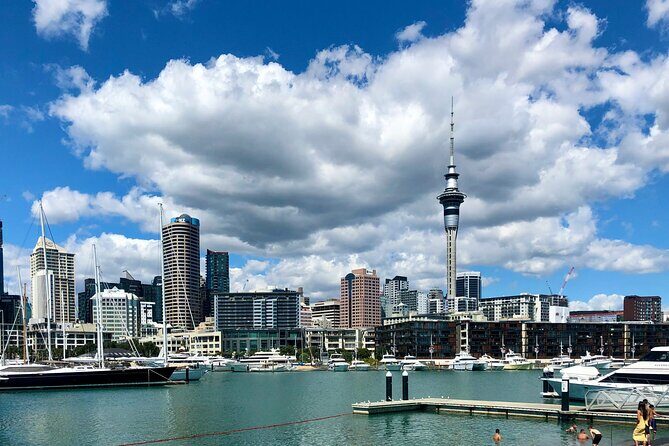 Auckland City Highlights and Hidden Gems Half Day Tour - What Our Reviewers Say