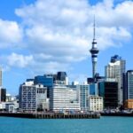 Auckland: City Highlights and Native Forest Experience - Transportation and Comfort