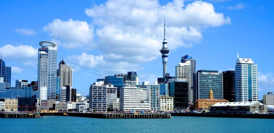 Auckland: City Highlights and Native Forest Experience - Transportation and Comfort