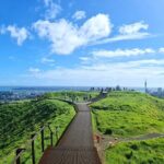 Auckland City Highlights Half Day Tour - What’s Included and What’s Not
