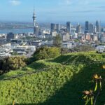 AUCKLAND CITY HIGHLIGHTS Half Day Tour with Hotel Pickup - The Practicalities: What’s Included and What’s Not