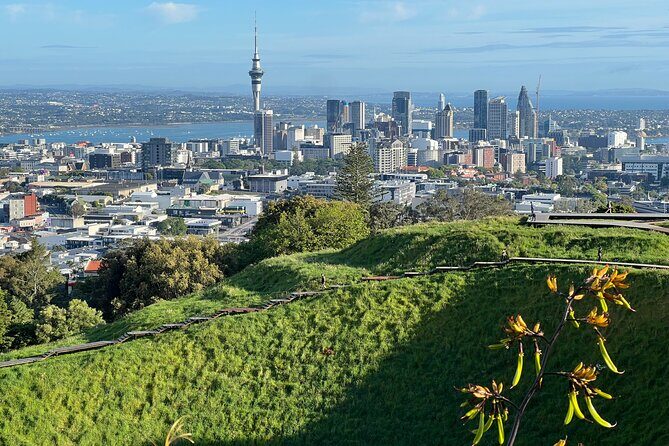 AUCKLAND CITY HIGHLIGHTS Half Day Tour with Hotel Pickup - The Practicalities: What’s Included and What’s Not
