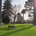 Auckland City Highlights Private Tour - How the Itinerary Works in Practice