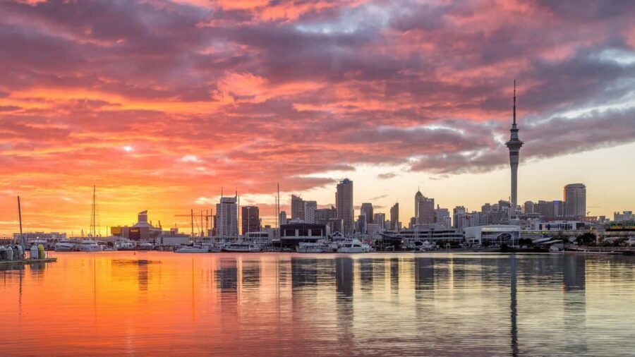 Auckland: City Highlights Private Tour - Experiencing Auckland’s East Coast Beauty