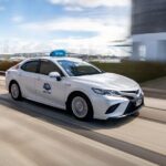 Auckland City Highlights Tour by Car or Van - The Experience: What It Really Feels Like